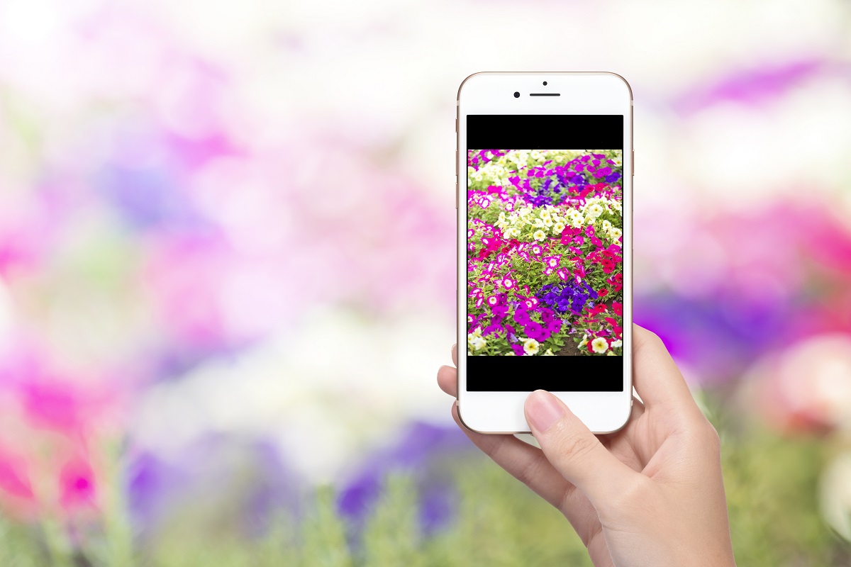 初心者向け！ フィルターで盛れるおすすめ写真アプリ5選【AR】 | レポート | PROTRUDE - 現場のあらゆる課題、解決策のすべてがここに